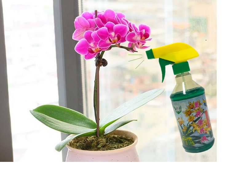 Plant Nutrient Solution for Orchid